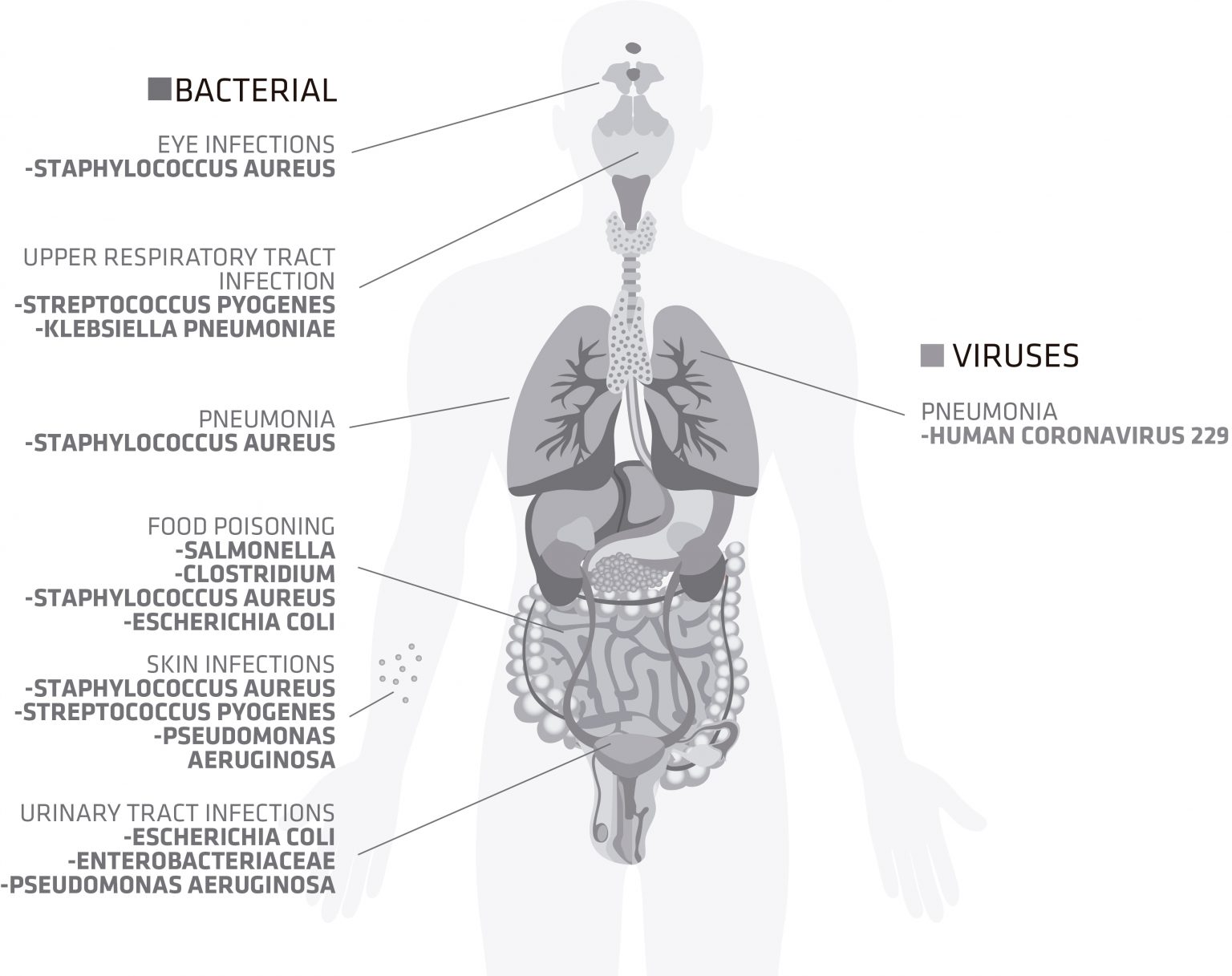 We Treat the Invisible – Stan-Labs